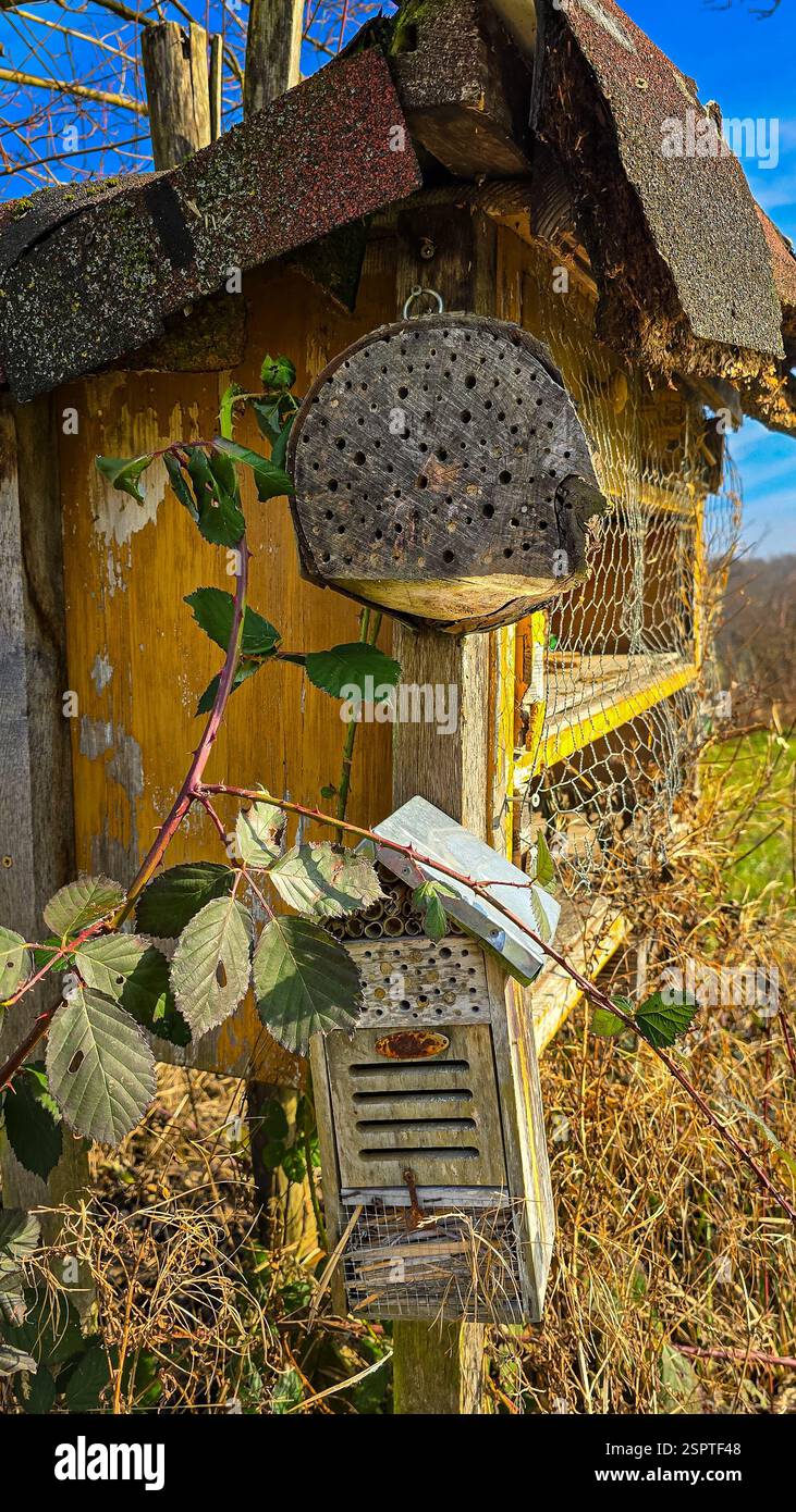 Bug hotels hi-res stock photography and images - Alamy