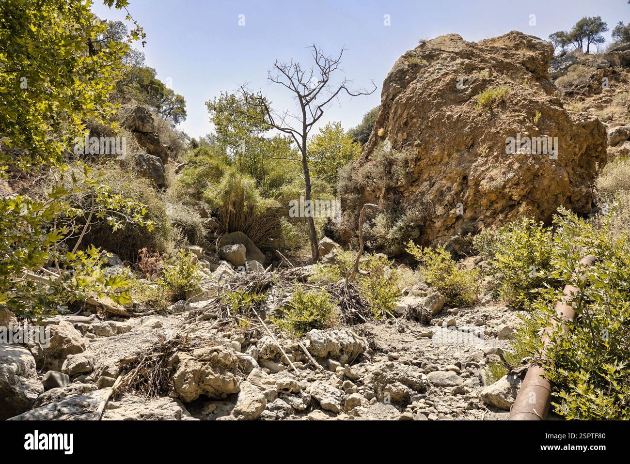 empty bed of a river that flows through a topolia gorge on the crete ...