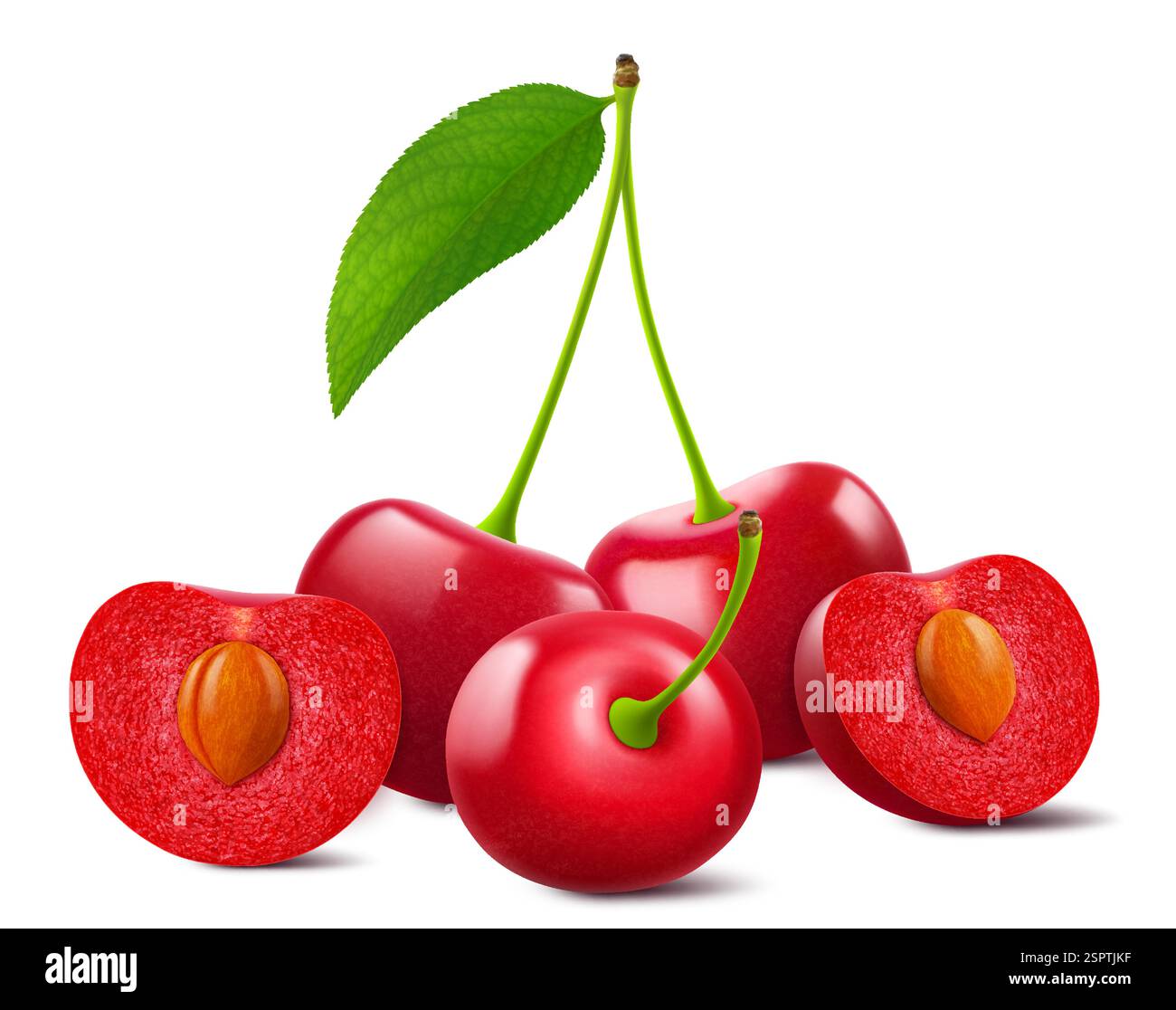 Ripe cherries with leaves isolated on a white background. Whole red ...