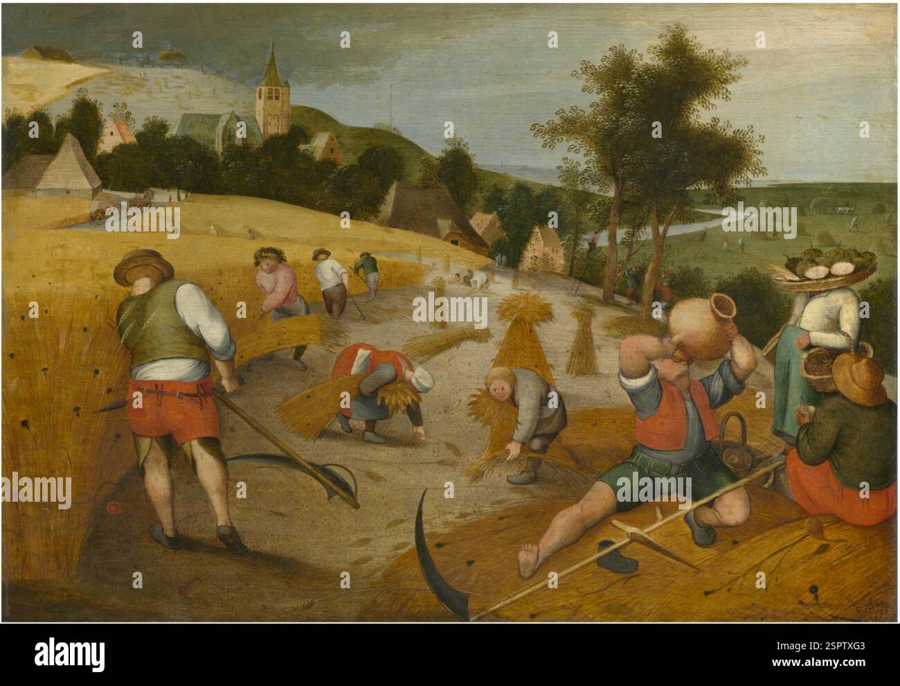 Summer abel grimmer hi-res stock photography and images - Alamy