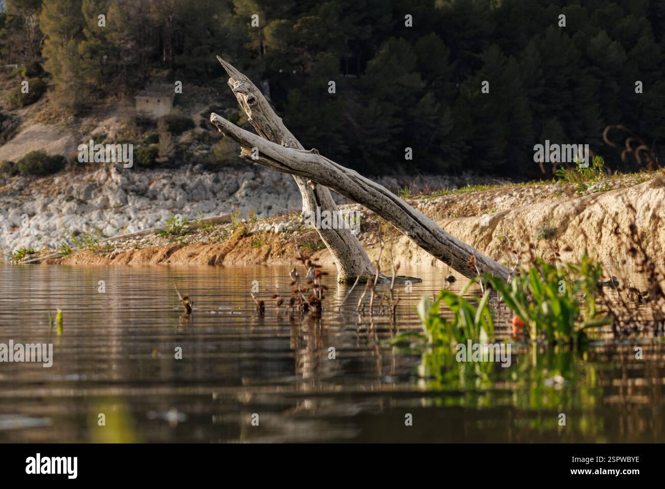Still life landscape with sunset light on the lake Stock Photo - Alamy