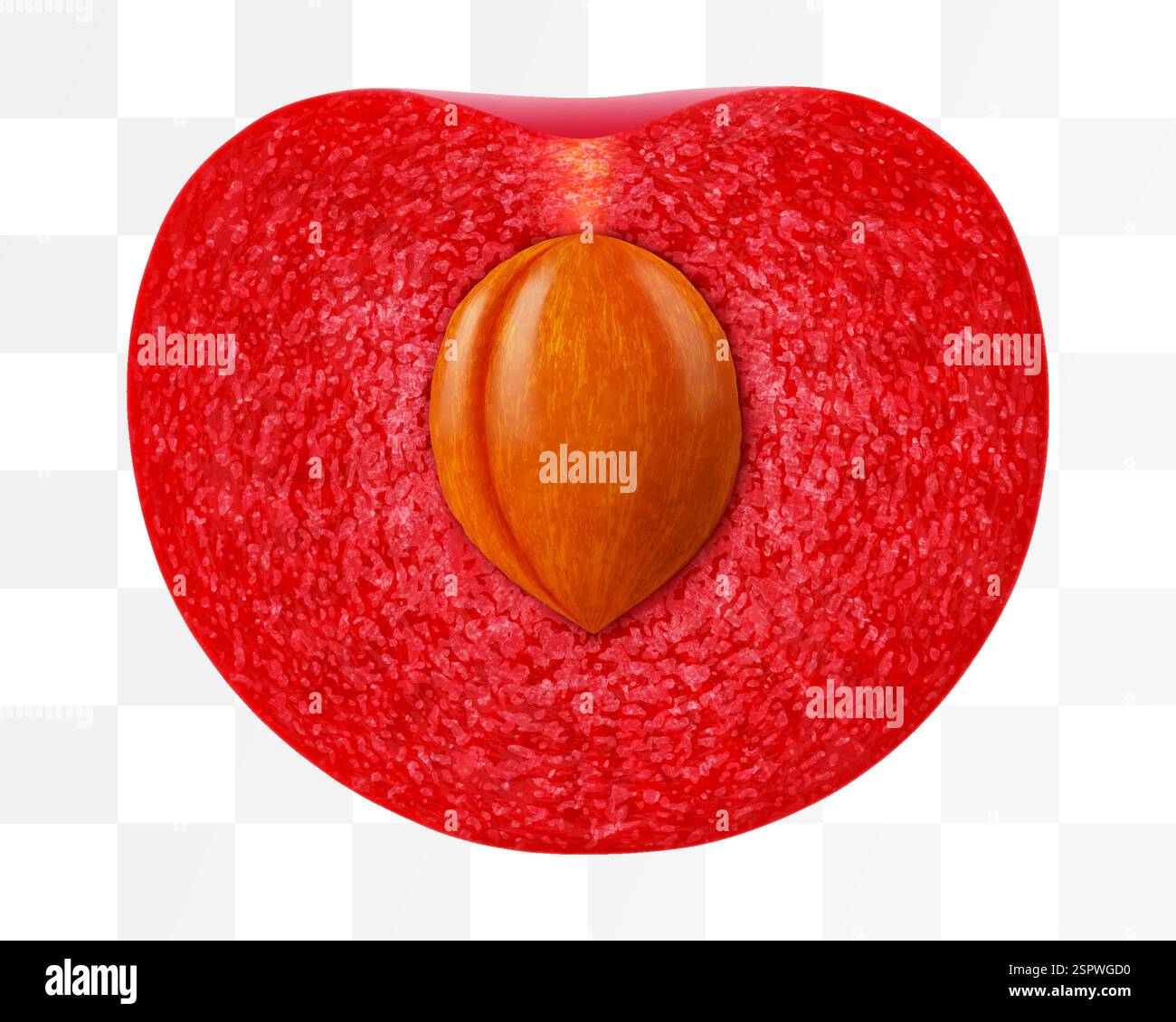 Half of cherry with pit isolated on a white background. Red cherry ...