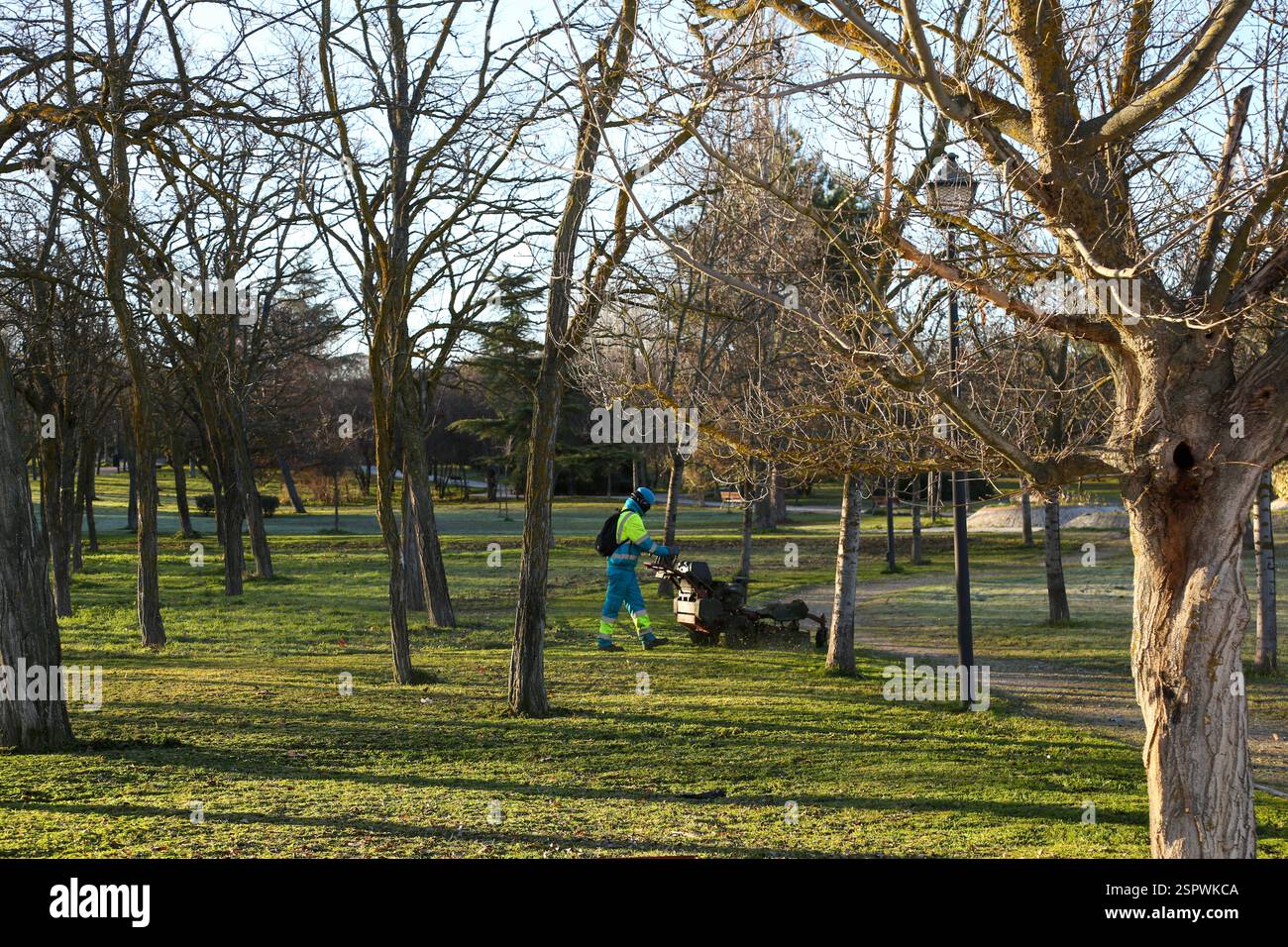 Male gardener mowing grass between hi-res stock photography and images - Alamy