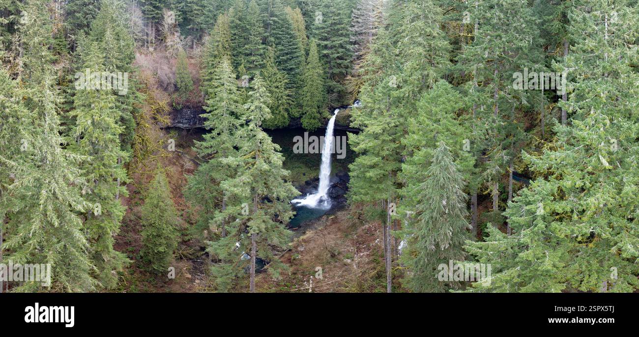 The beautiful North Falls flows amid a healthy forest in Oregon. The ...