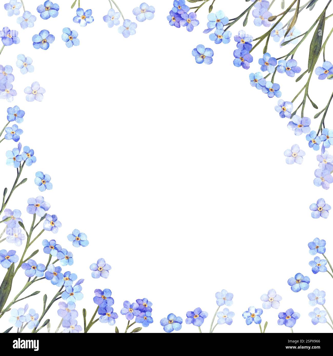 A frame with blue forget-me-nots flowers. Hand drawn watercolor ...