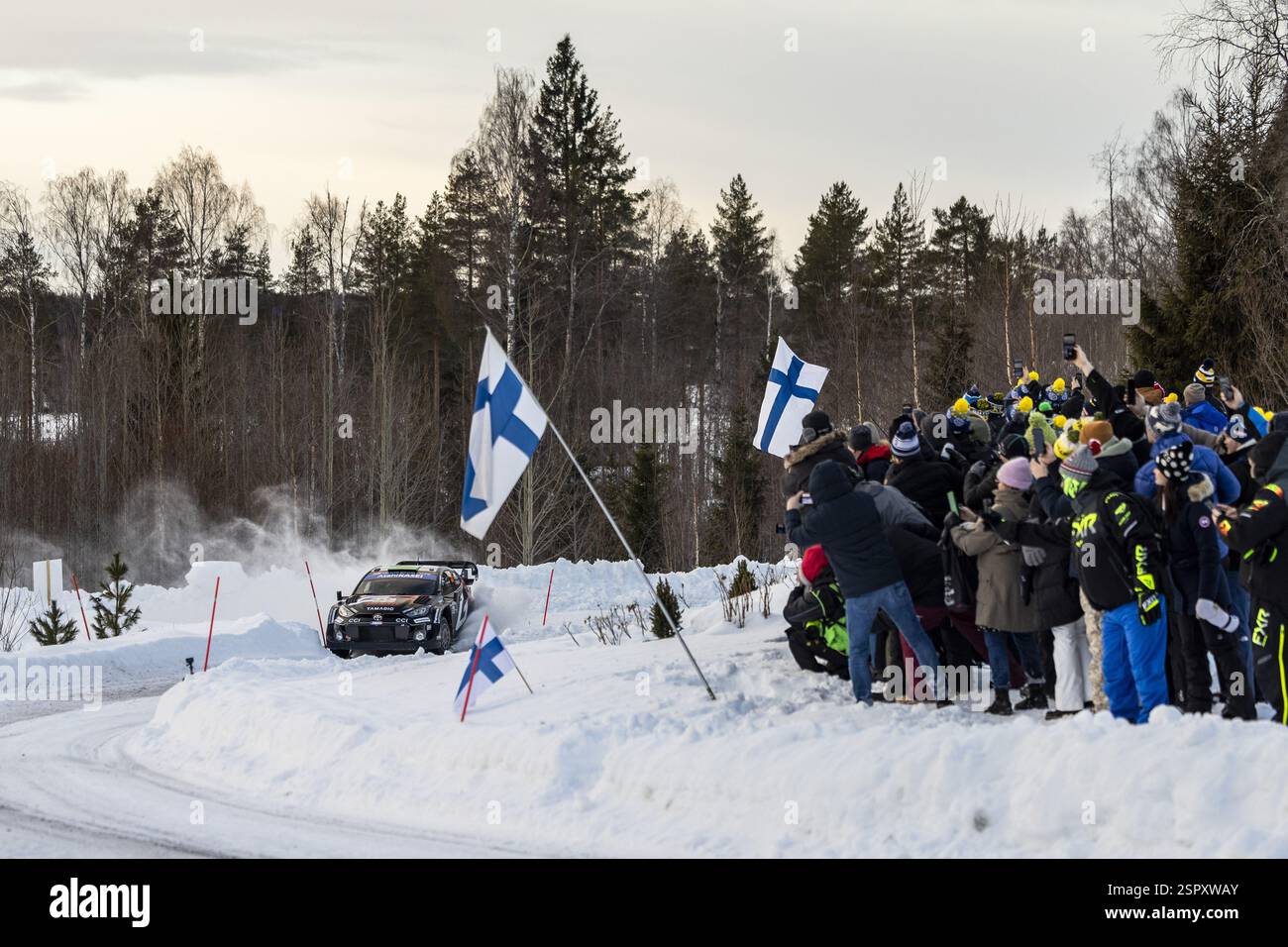 33 Elfyn EVANS, Scott MARTIN, Toyota GR Yaris Rally1, action during the ...
