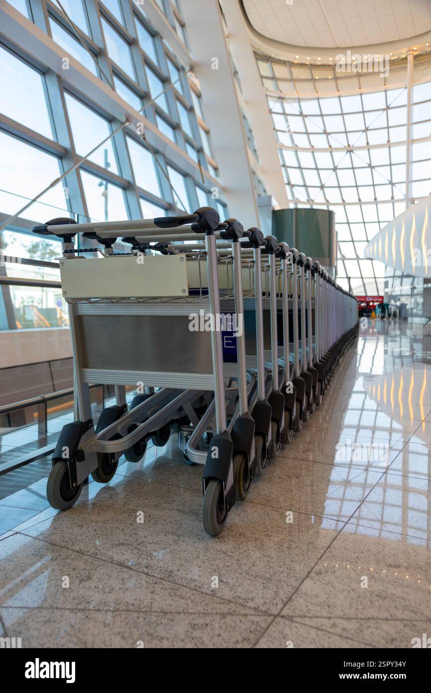 Luggage trolley at the Abu Dhabi airport Stock Photo - Alamy