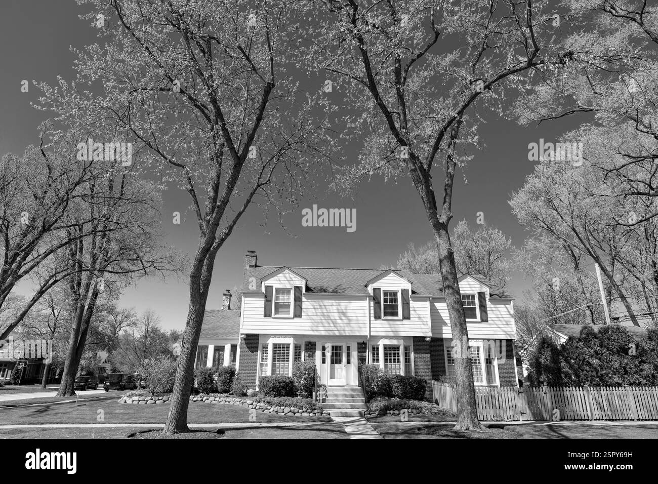 modern cottage house. property in neighborhood. residential building ...