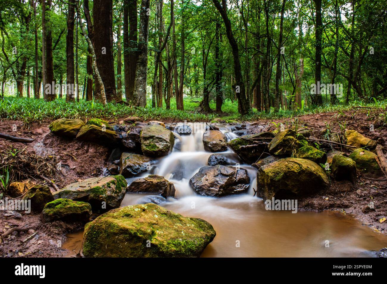 Brook running water over rocks hi-res stock photography and images - Alamy