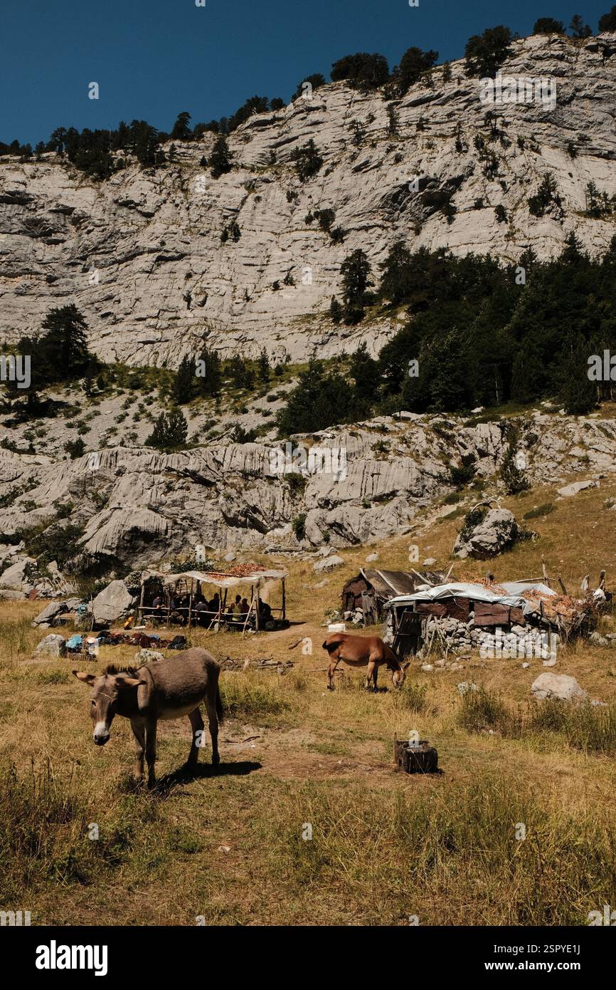 Peaks of The Balkans trail. Albanian nature, amazing landscape in ...