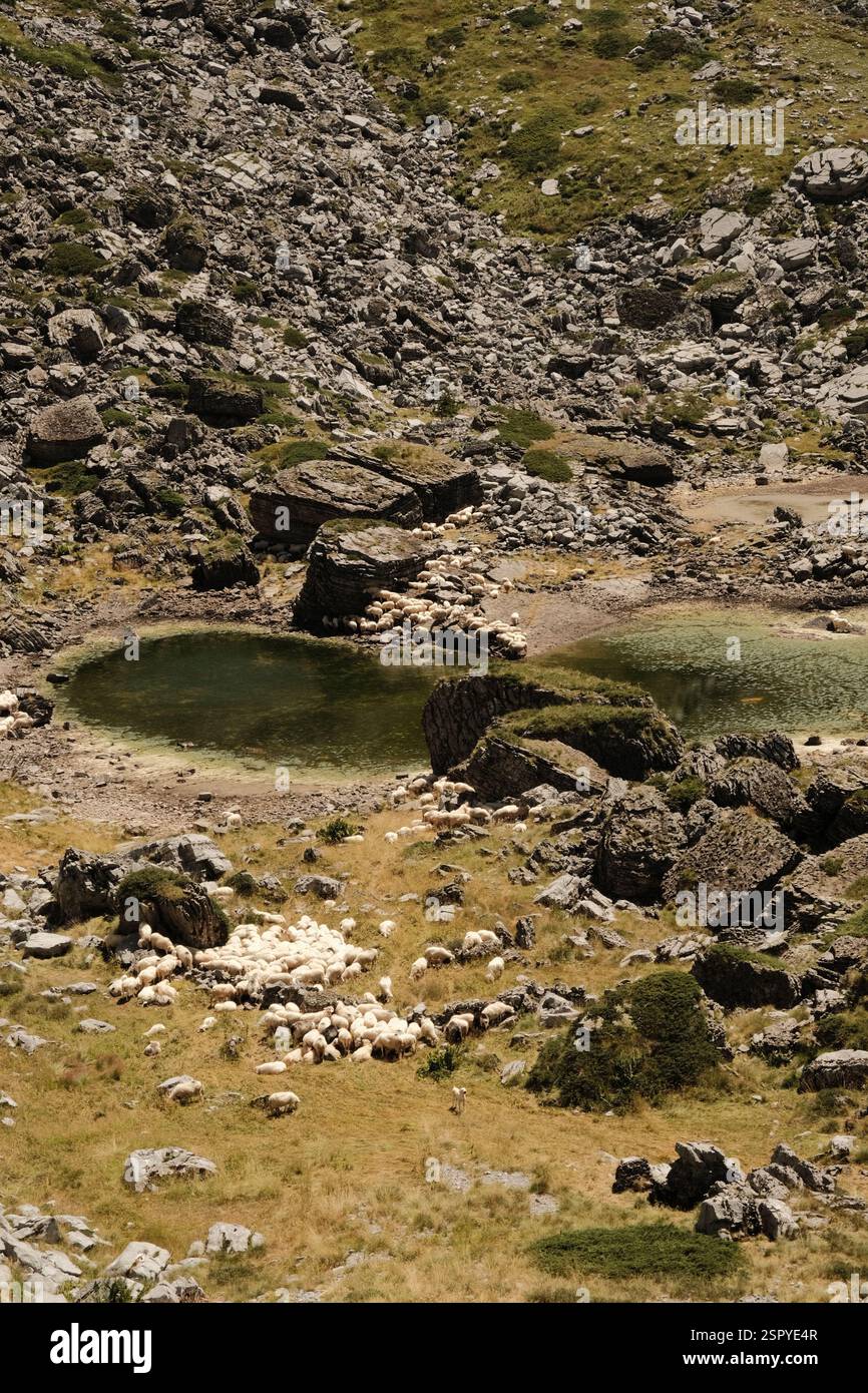 Peaks of The Balkans trail. Albanian nature, amazing landscape in ...