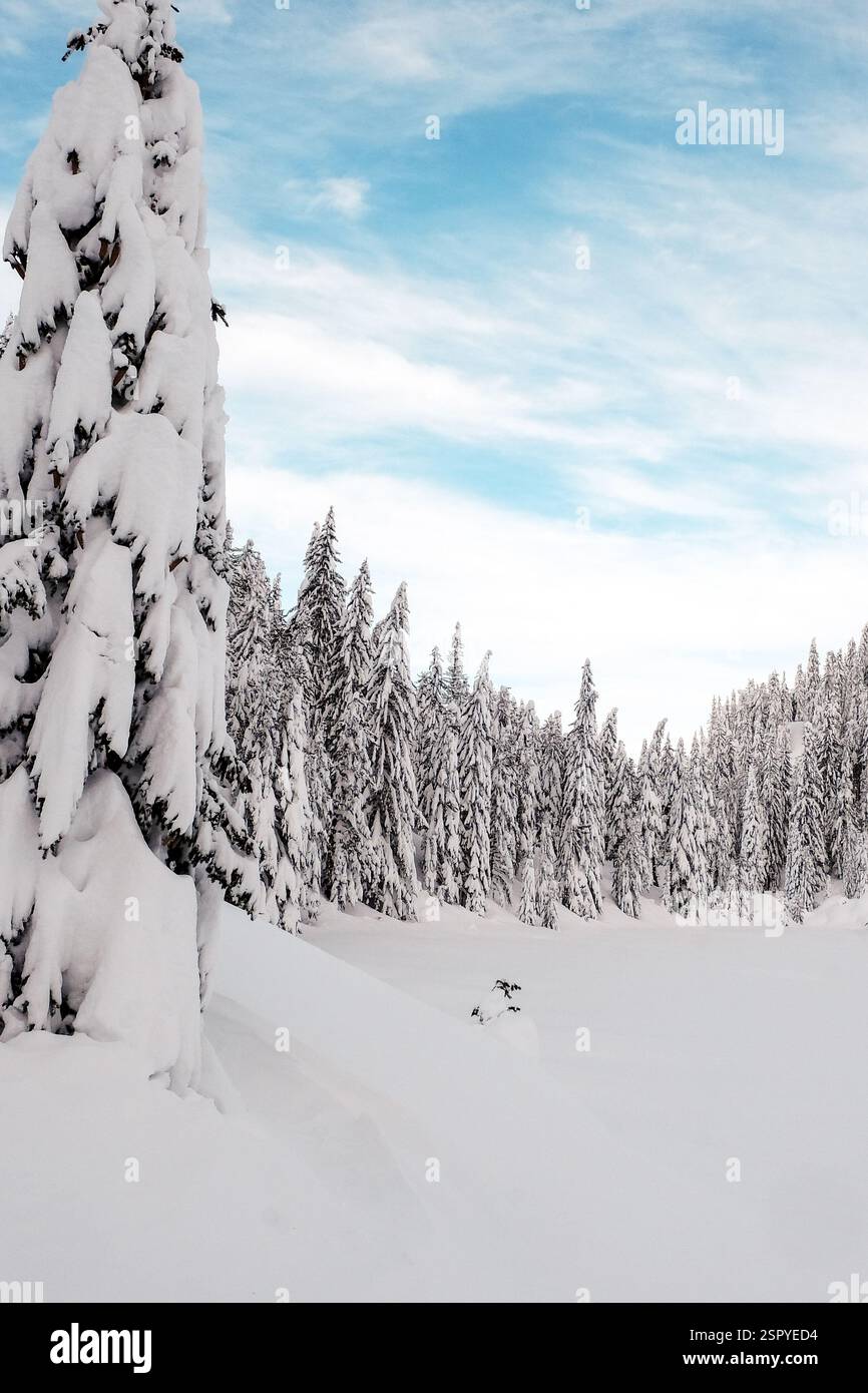 snowy mountains in Albania. hiking trail. winter scenery. Albanian alps ...