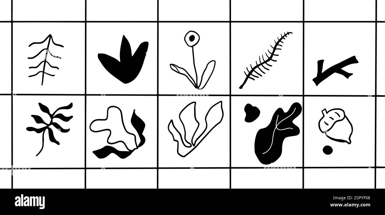 Black and White Organic Shape Illustration Set Stock Vector Image & Art ...