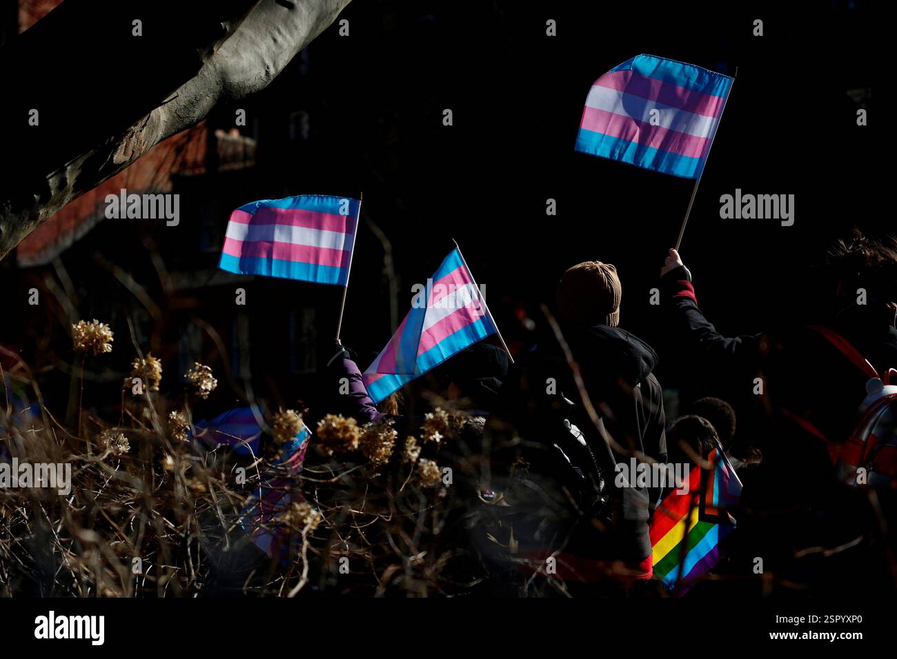 New York, United States. 14th Feb, 2025. Crowds gather holding signs ...