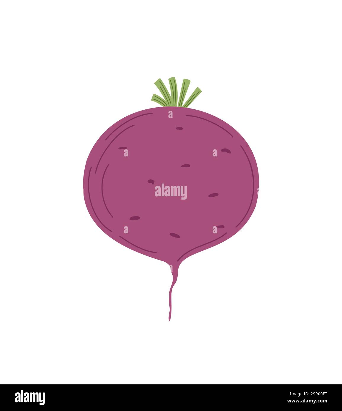 Fresh whole beetroot vegetable, hand drawn simple doodle vector ...