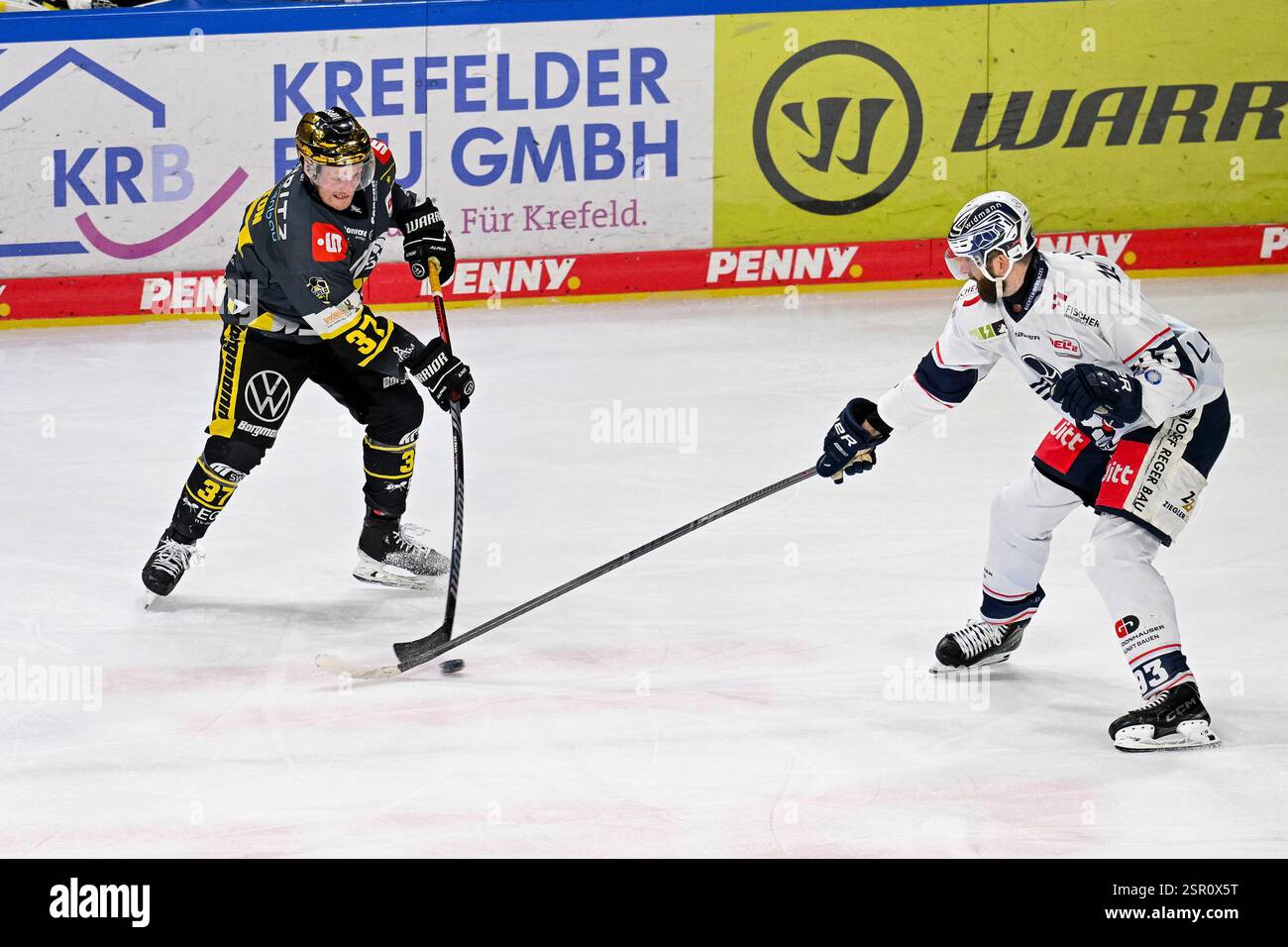 Eishockey DEL2 - 24/25 - 47 Spieltag: Krefeld Pinguine vs Blue Devils ...