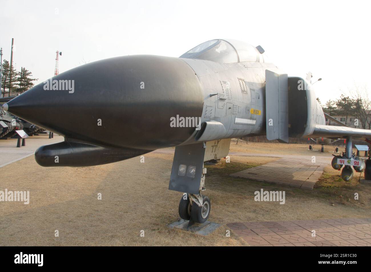 McDonnell Douglas F-4 Phantom II nose cone. Gray metallic paint. Radar ...