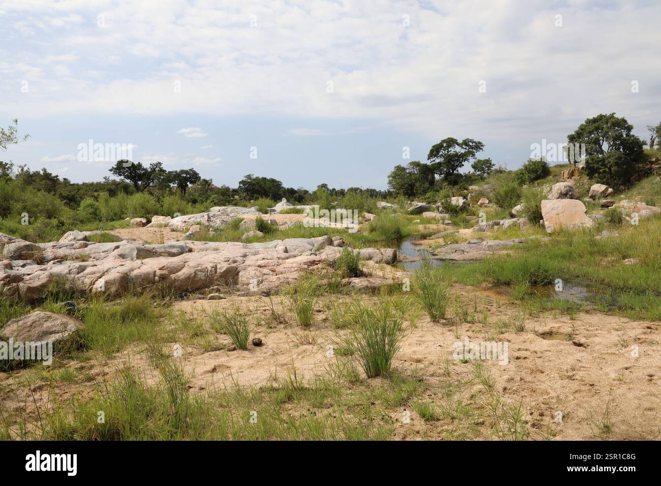 Afrikanischer Busch - Krügerpark - Biyamiti River / African Bush ...