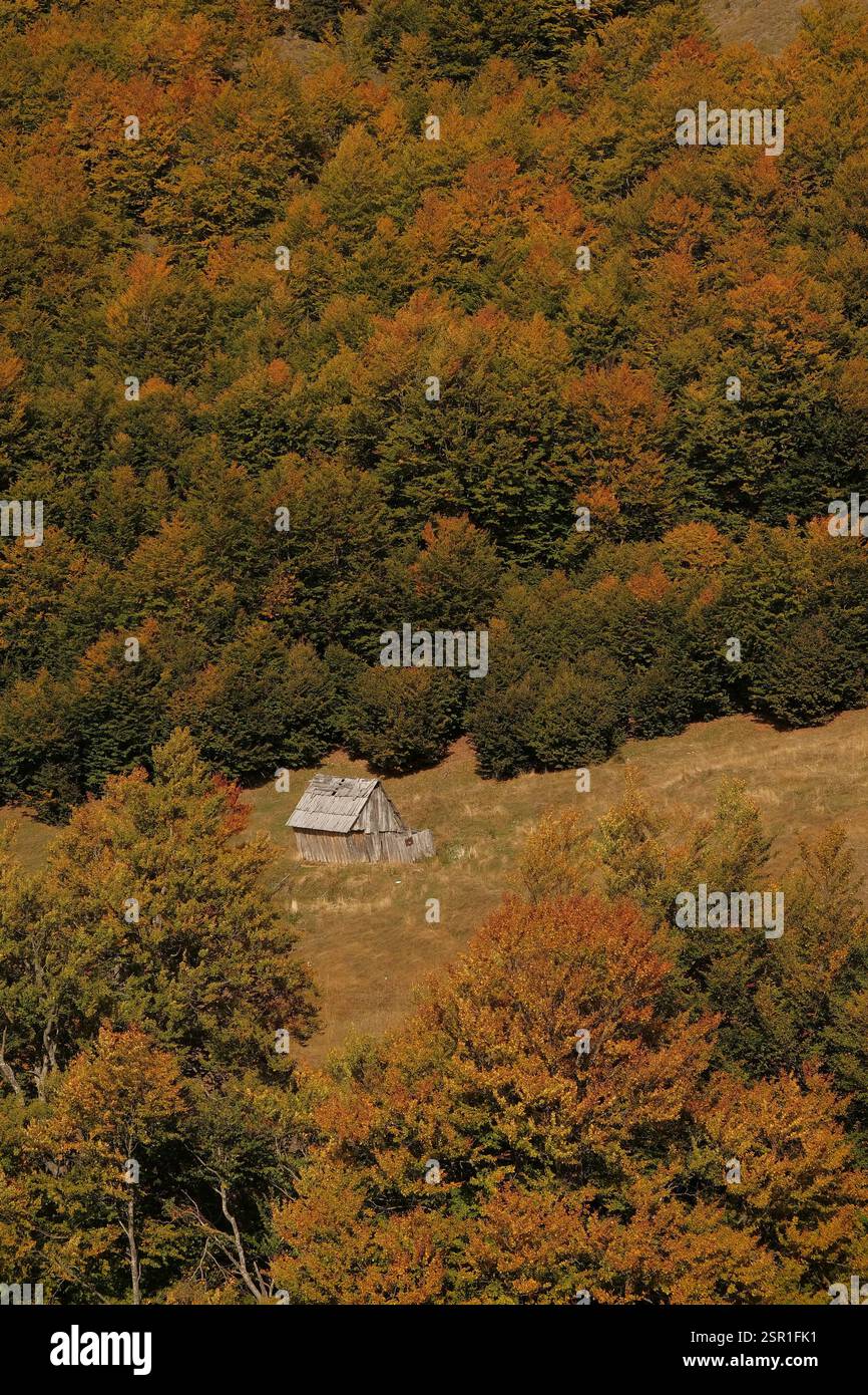 Peaks of The Balkans trail. Albanian nature, amazing landscape in ...