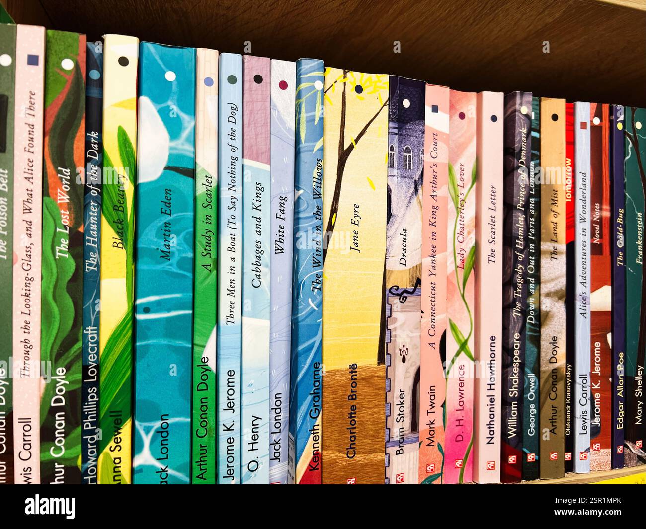 Lviv, Ukraine - February 13, 2025: Close-up view of vibrant book covers ...