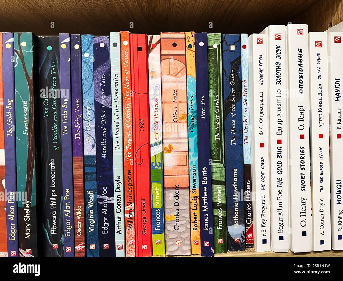 Lviv, Ukraine - February 13, 2025: Close-up view of classic literature ...