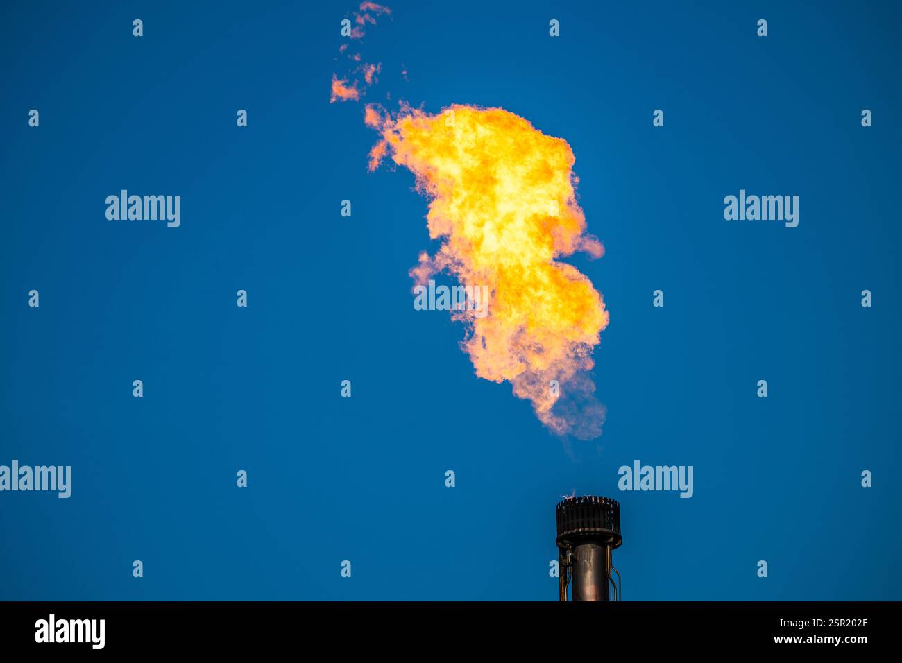 Flame burning off bi-product hydrocarbons at an oil refinery Stock ...
