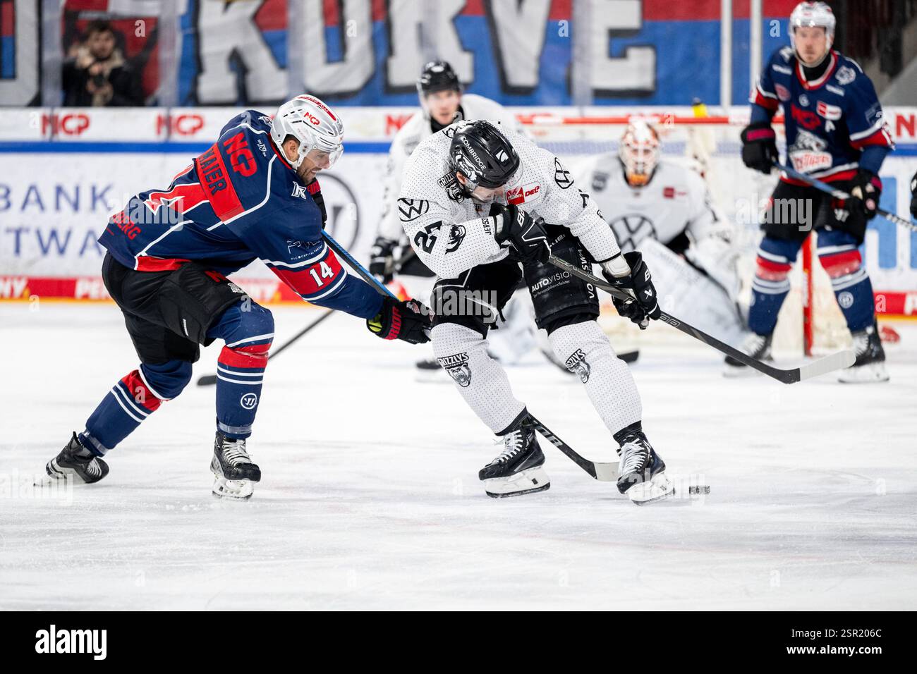 Cole Maier (14, Nuernberg Ice Tigers, NIT ) Nick Caamano (27, Grizzlys ...