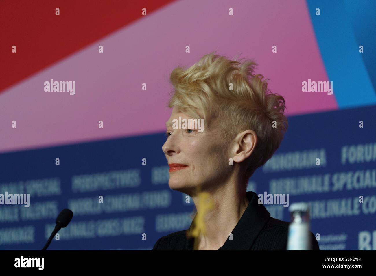 Tilda Swinton at the Honorary Golden Bear press conference during the ...