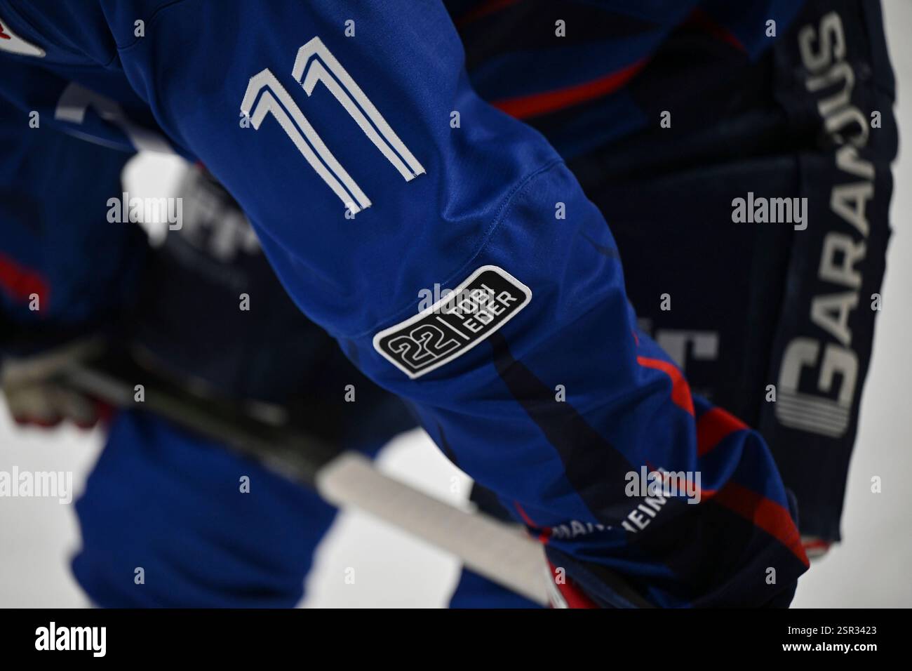 Mannheim, Deutschland. 14th Feb, 2025. Trikot Patch Tobi Eder Adler ...