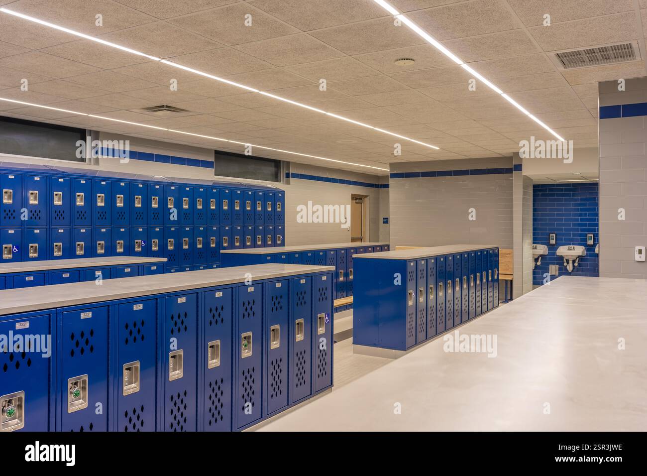 Empty team locker, locker room, changing room with traditional blue ...