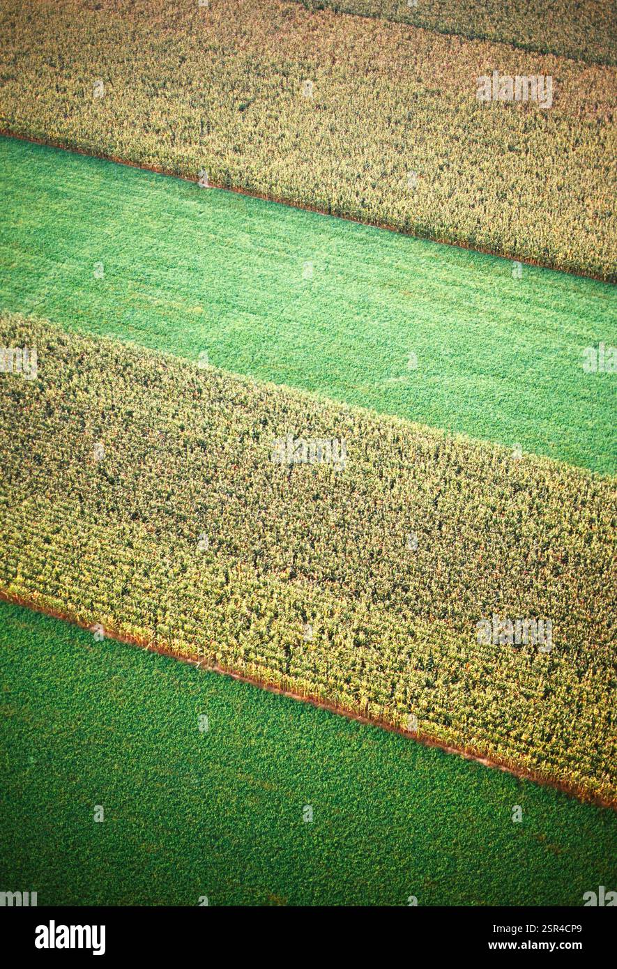 Aerial view of Lancaster County Pennsylvania lush farm fields; home to ...