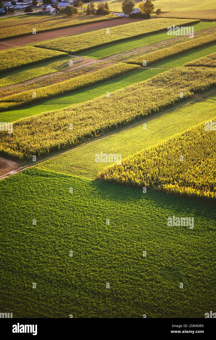 Aerial view of Lancaster County Pennsylvania lush farm fields; home to ...
