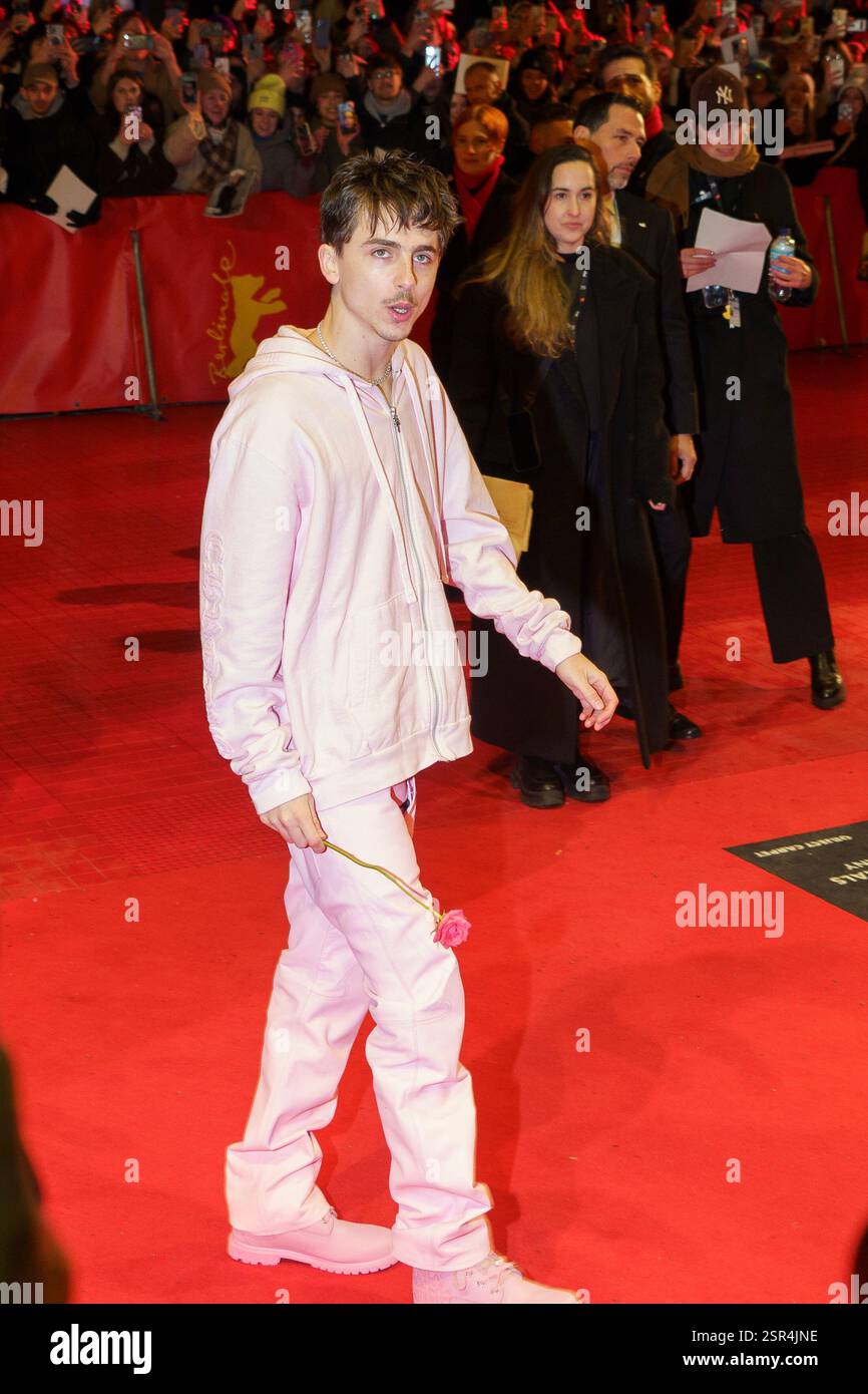 Berlin, Germany. 14th Feb, 2025. "A Complete Unknown" premiere during ...