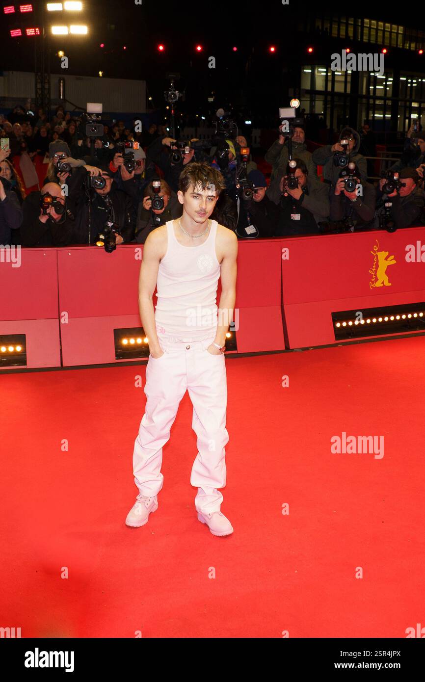 Berlin, Germany. 14th Feb, 2025. "A Complete Unknown" premiere during ...