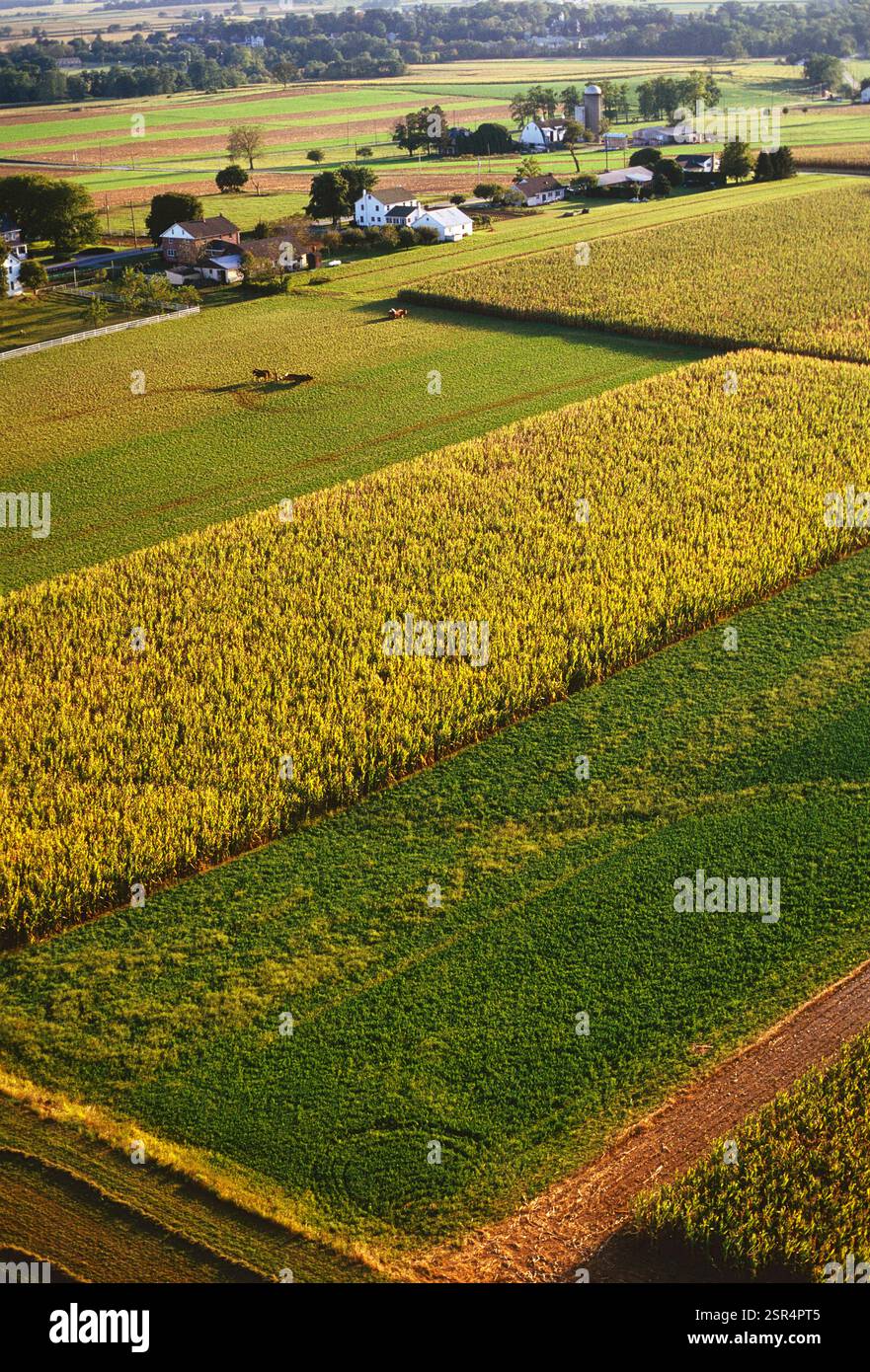 Aerial view of Lancaster County Pennsylvania lush farm fields; home to ...