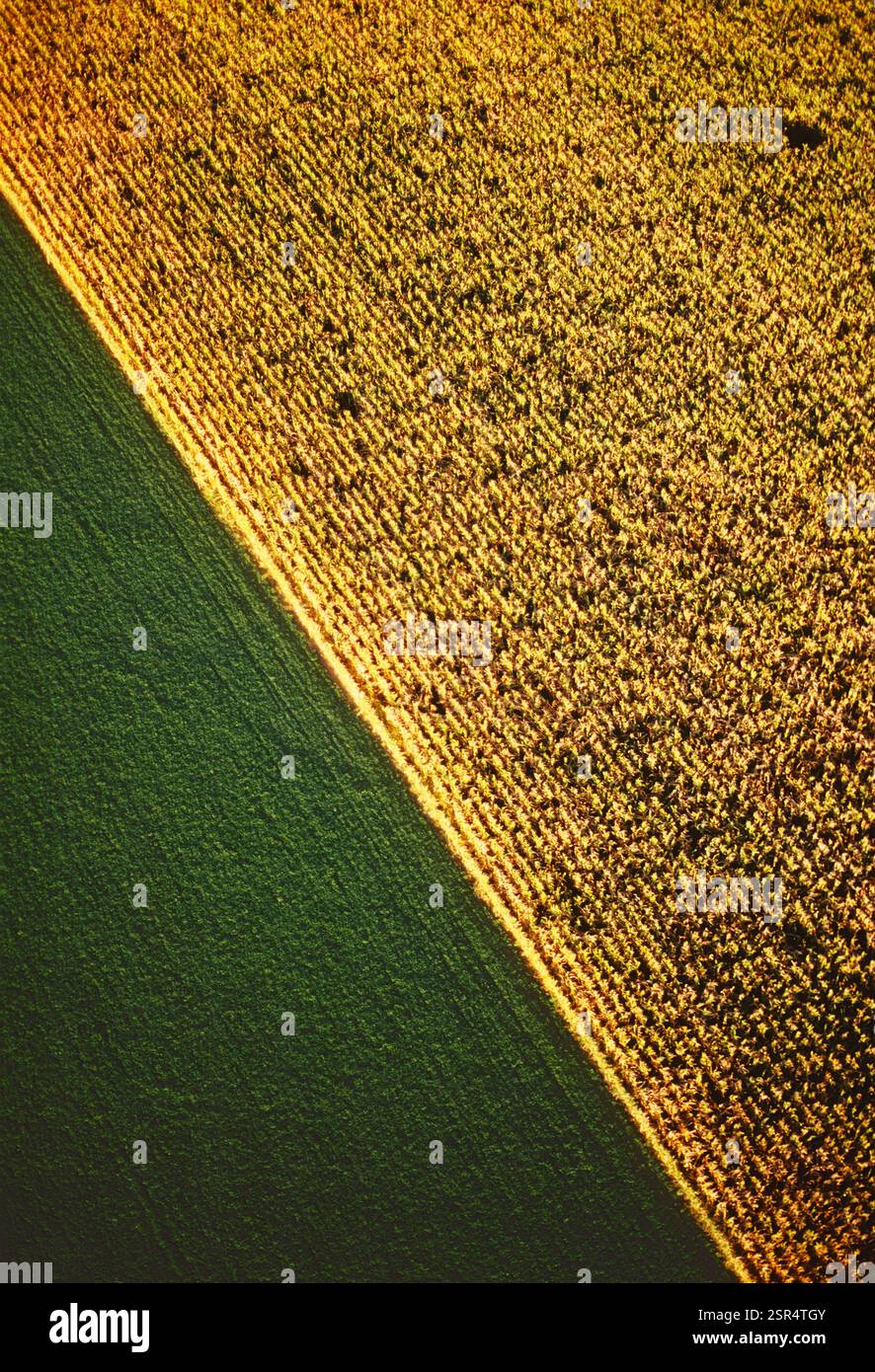Aerial view of Lancaster County Pennsylvania lush farm fields; home to ...