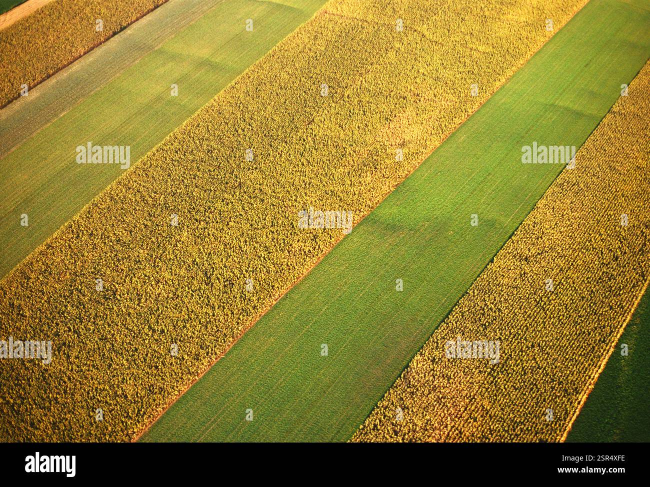 Aerial view of Lancaster County Pennsylvania lush farm fields; home to ...