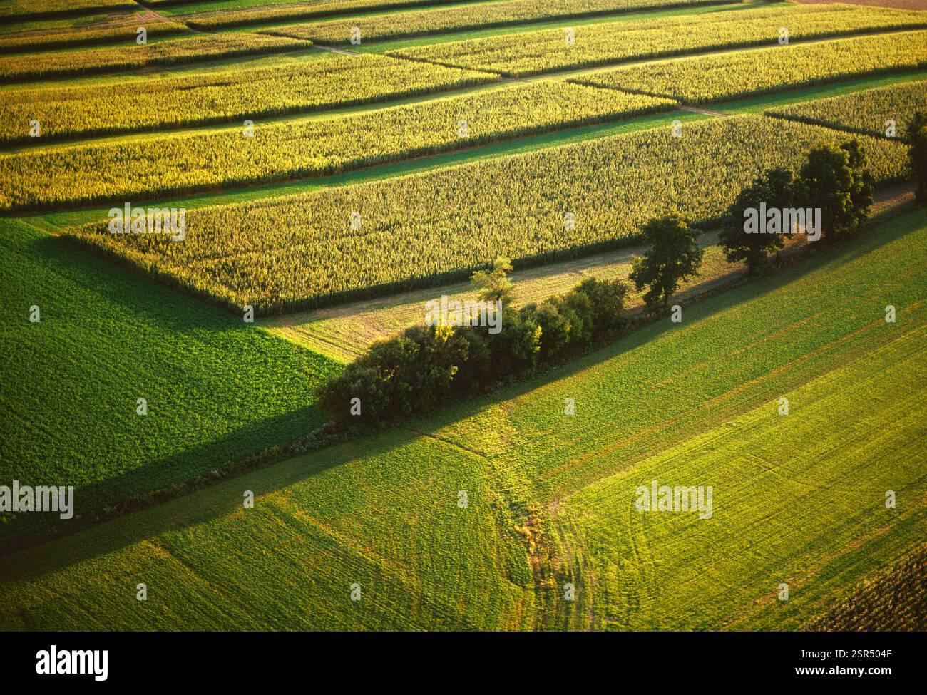 Aerial view of Lancaster County Pennsylvania lush farm fields; home to ...
