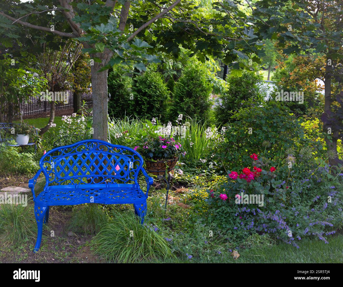 The cobalt blue garden bench stands freshly transformed, its surface ...