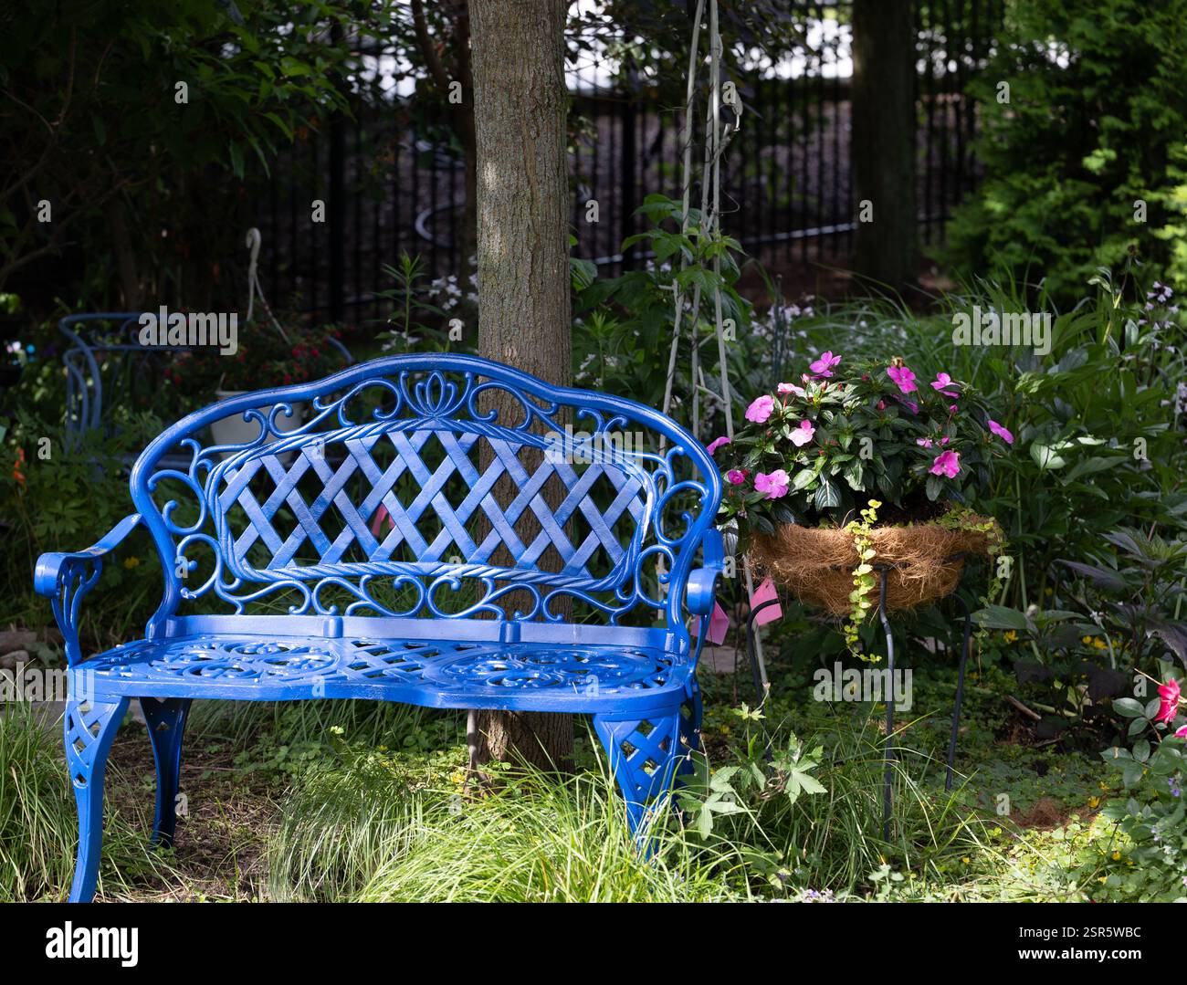 The cobalt blue garden bench stands freshly transformed, its surface ...