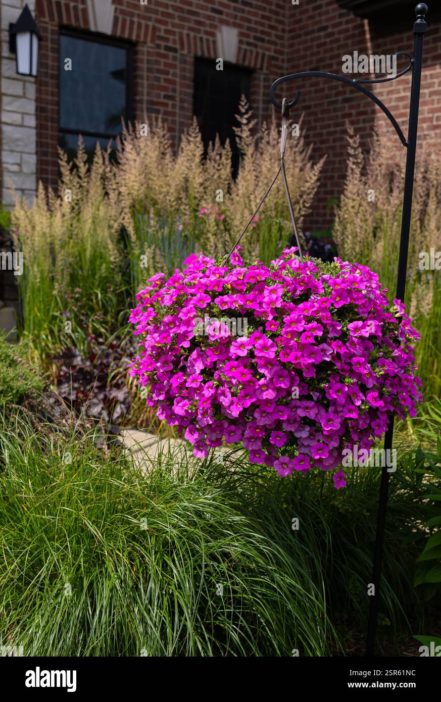 Nothing shouts spring more than a close up of a hanging basket of ...