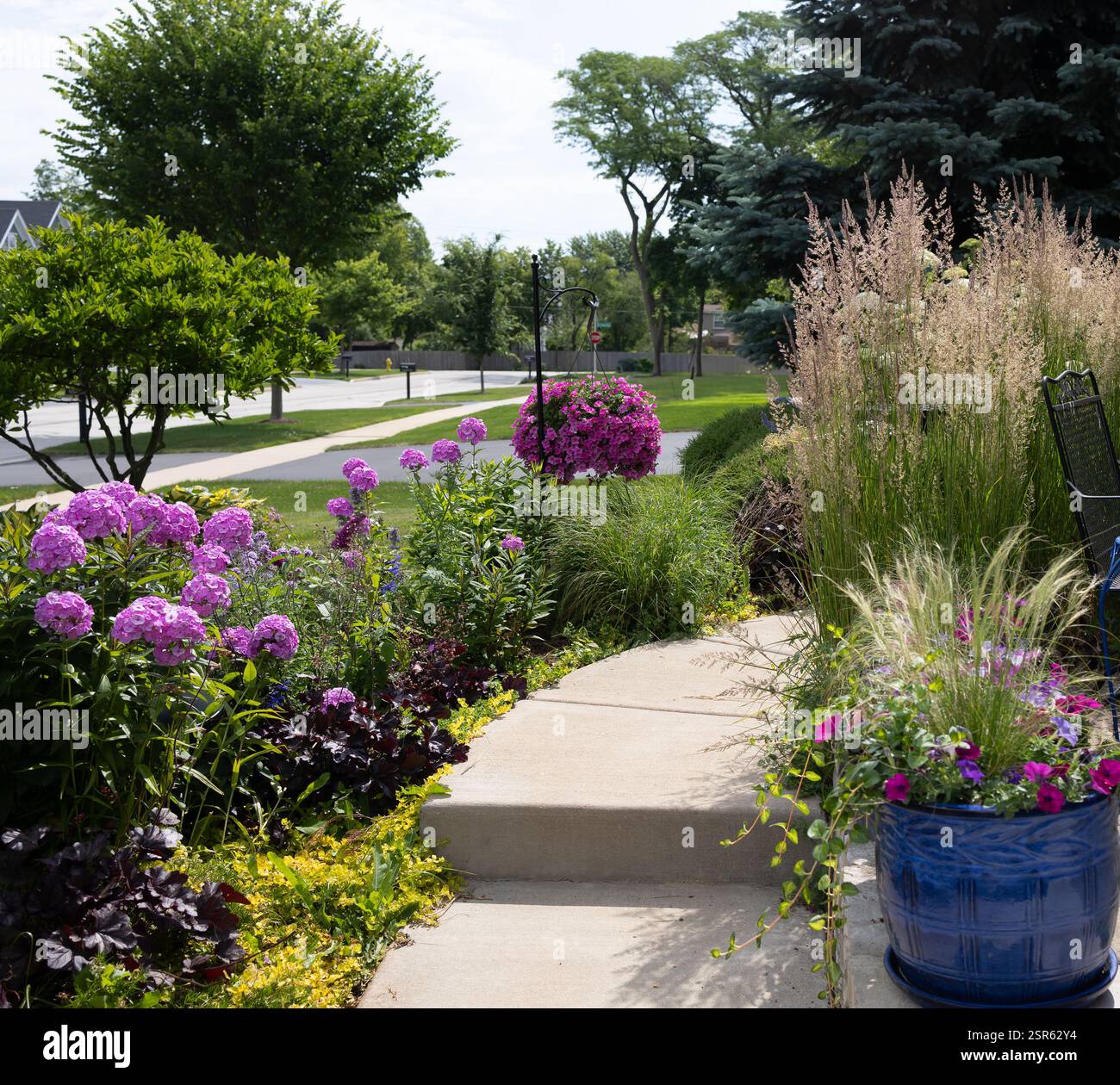 Karl Foerster Reed Grass, Calamagrostis, Grasses with their feathery ...