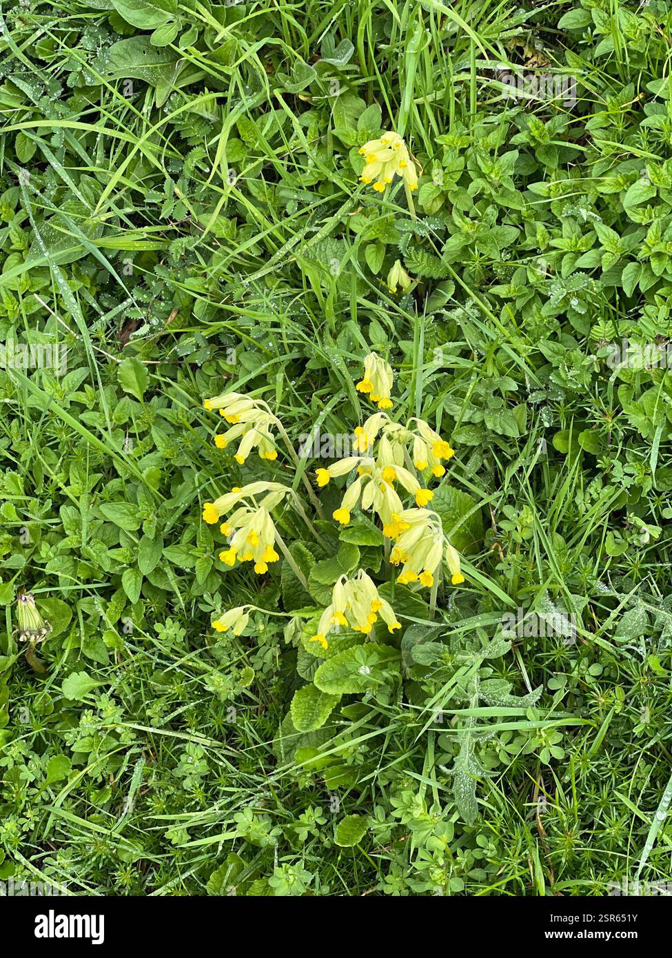 Glyde path road hi-res stock photography and images - Alamy