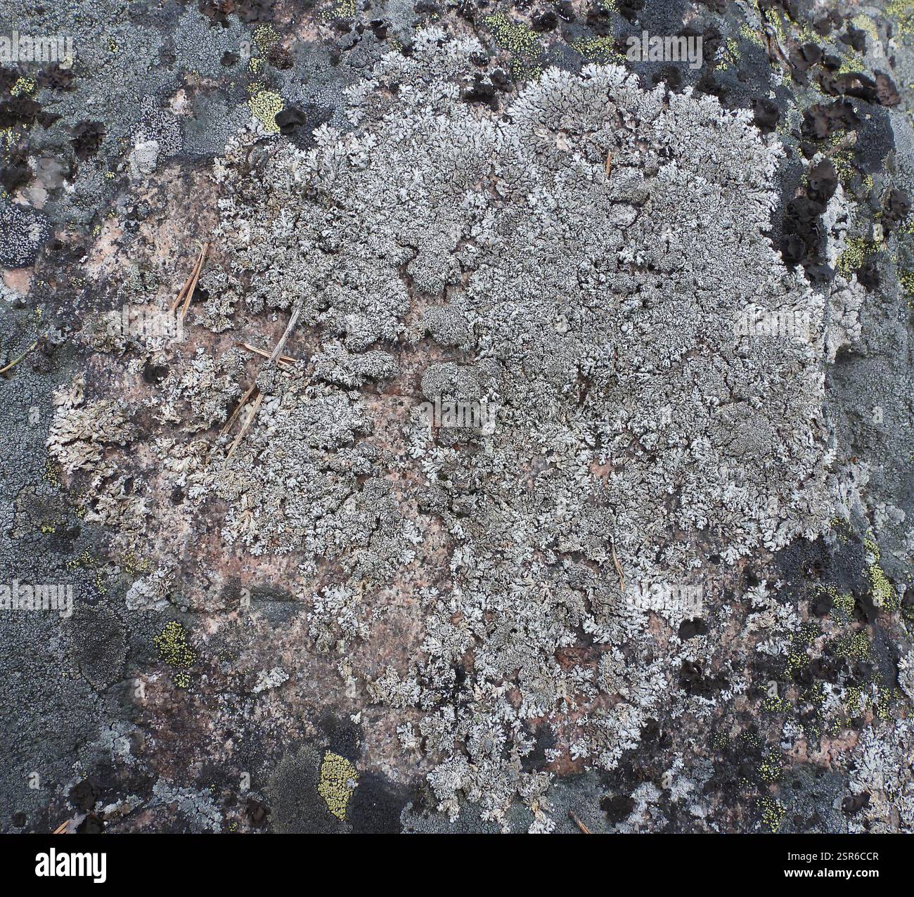 Turunmaa hi-res stock photography and images - Alamy