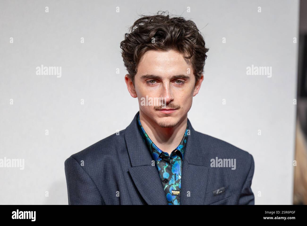 Guests and Cast attend A Complete Unknown Movie Premiere Featuring ...