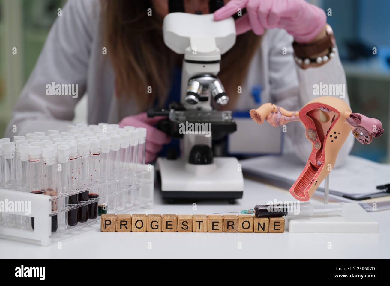 Investigating the significant role of progesterone in reproductive ...