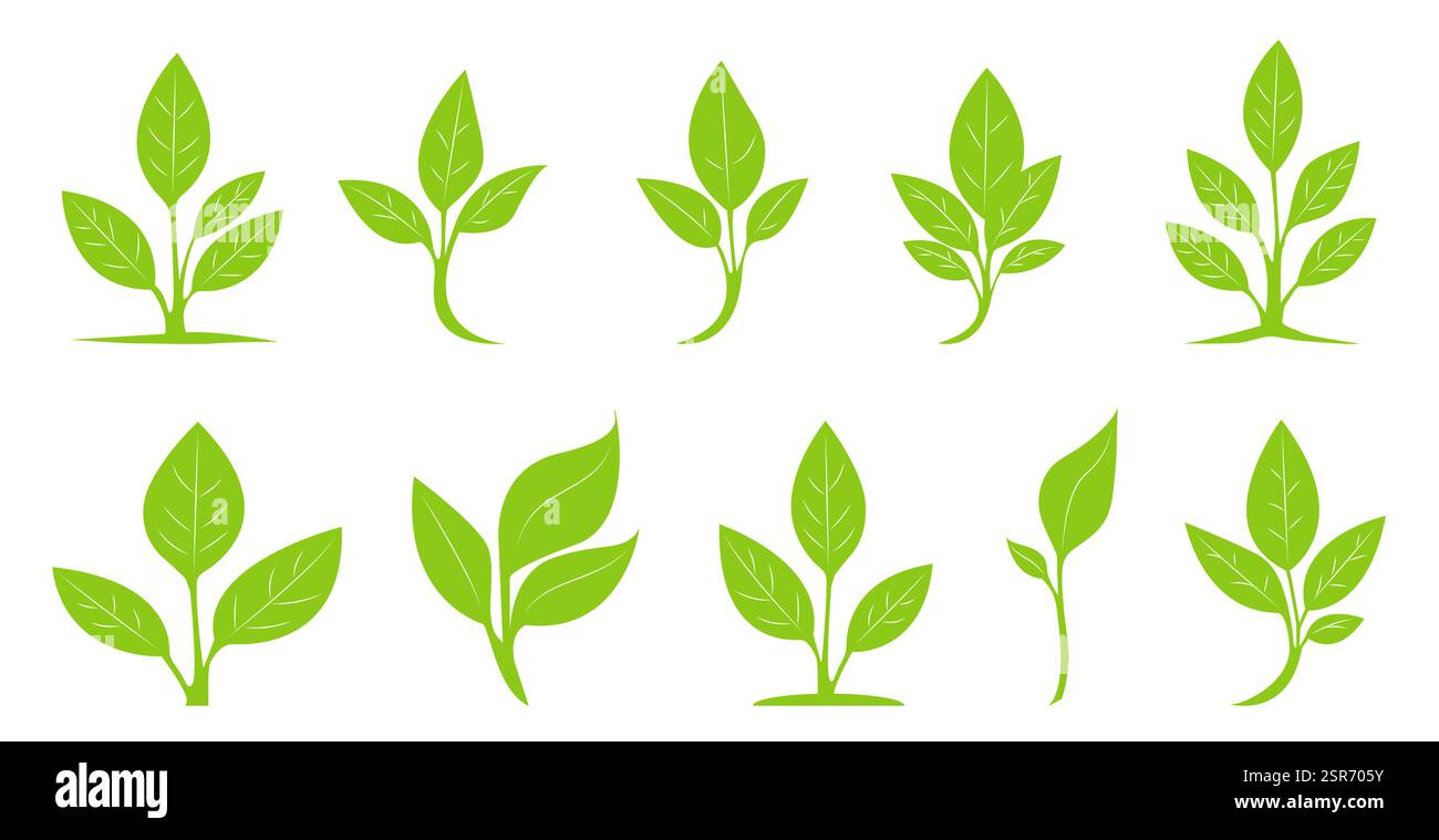 Sprout Logo Set Isolated White background Stock Vector Image & Art - Alamy