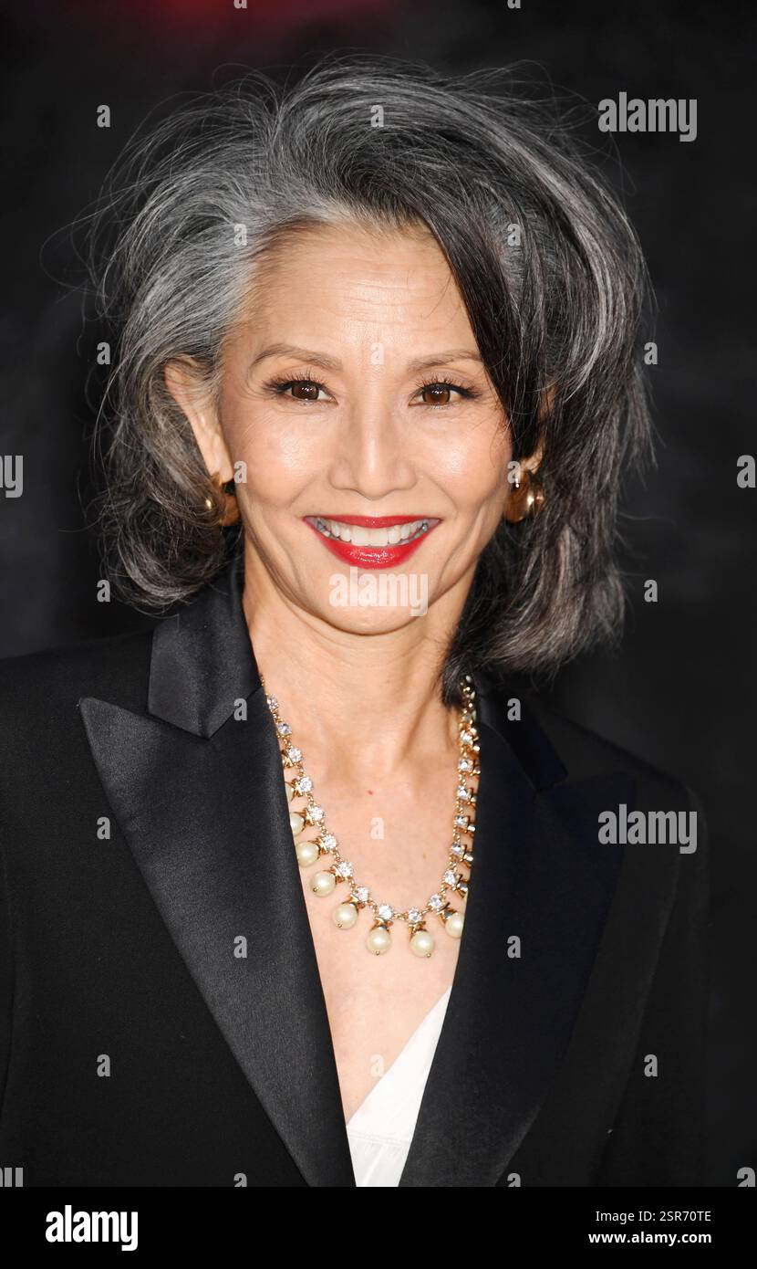 LOS ANGELES, CALIFORNIA - FEBRUARY 12: Tamlyn Tomita attends Netflix's ...