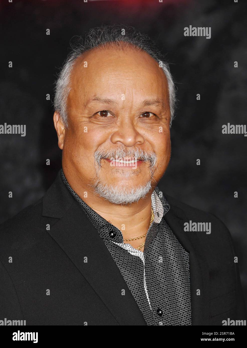 LOS ANGELES, CALIFORNIA - FEBRUARY 12: Darryl Vidal attends Netflix's "Cobra Kai" Series Finale ...