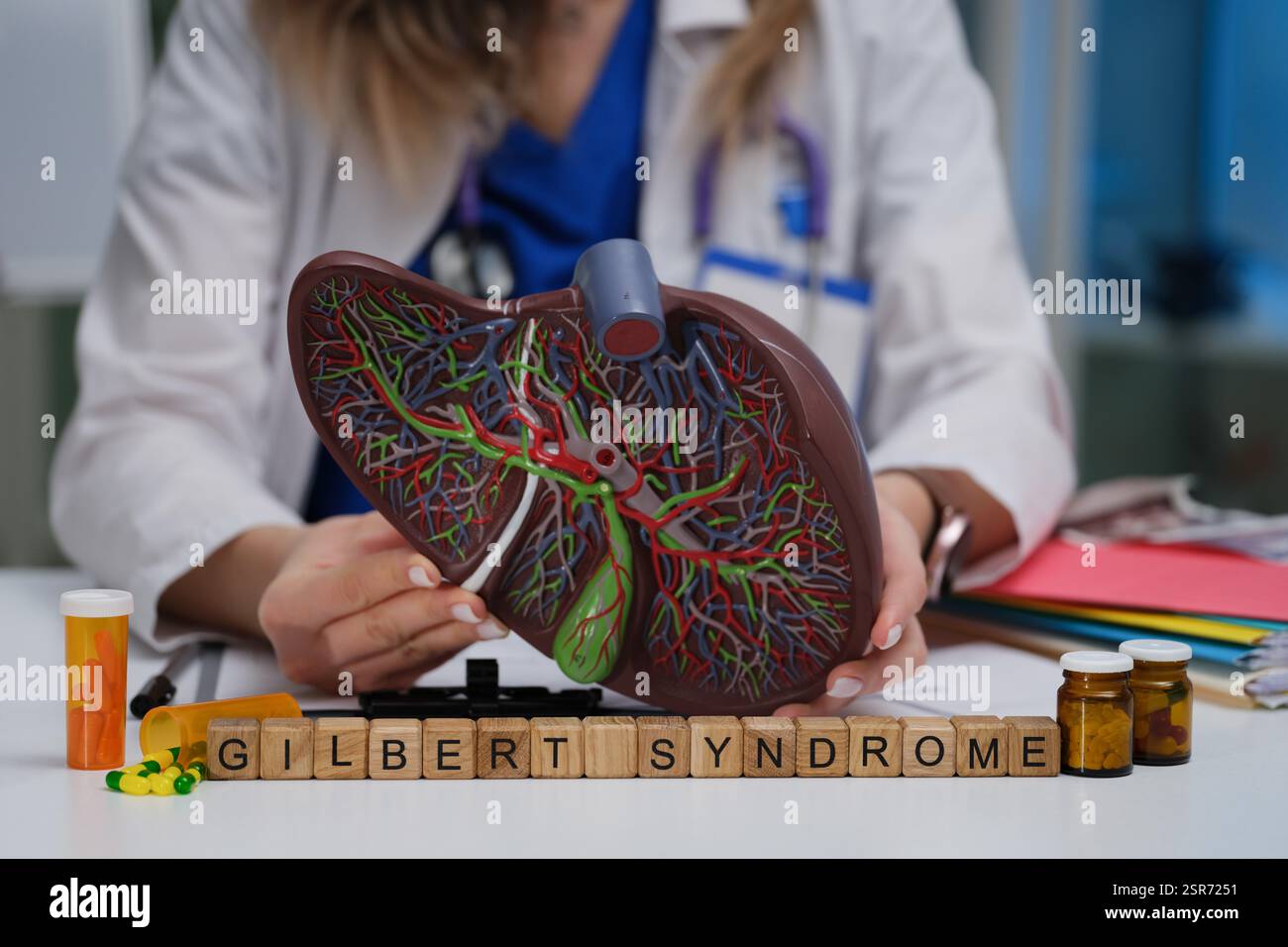 The Gilbert Syndrome and an elaborate Liver Anatomy Model are crucial ...